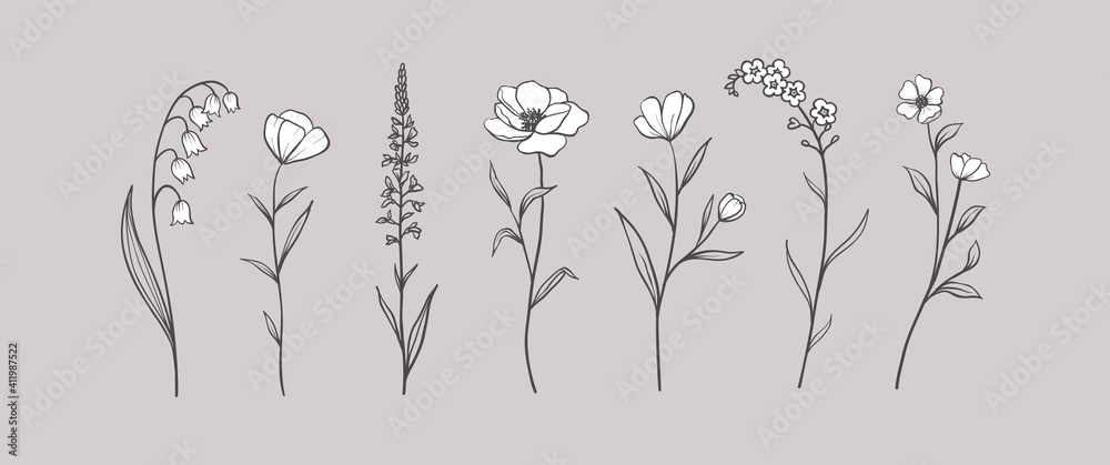 Set of Herbs and Wild Flowers. Hand drawn floral elements. Vector ...