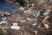 Trash On A Riverside Free Stock Photo - Public Domain Pictures
