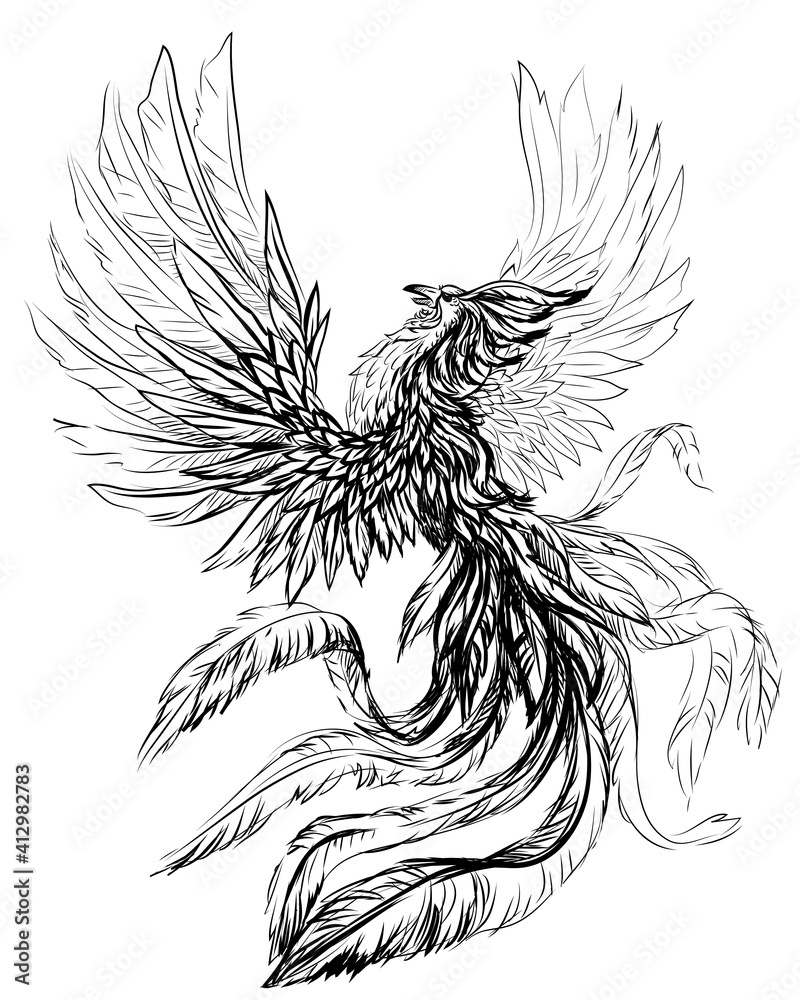 Phoenix Black And White Photo