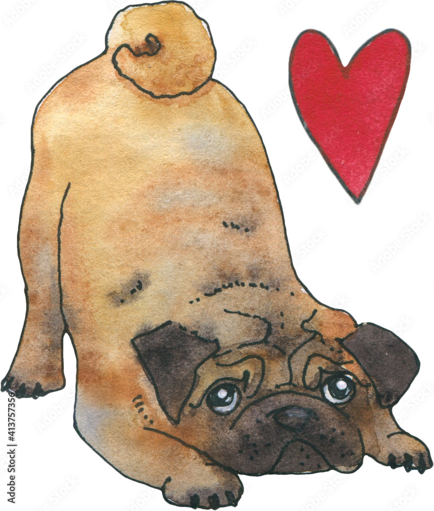 pug clip art watercolor clipart birthday party digital clipart dog ...