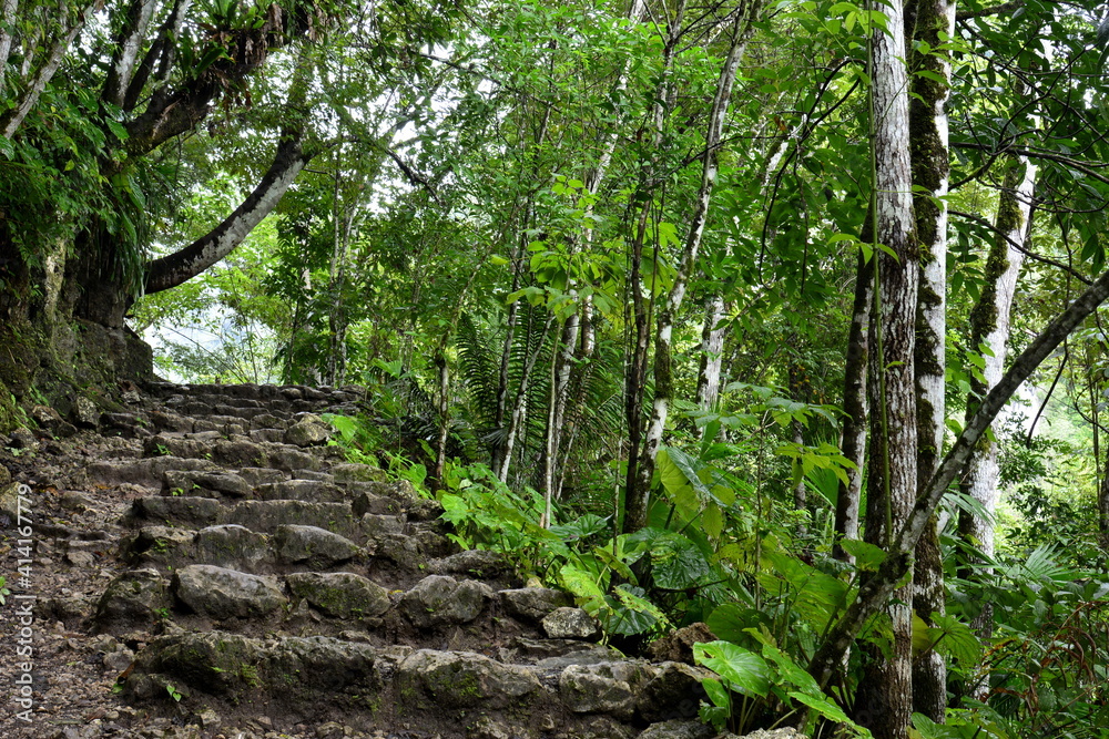 Paisajes de pozas escalonadas de agua, todas de color turquesa en el ...