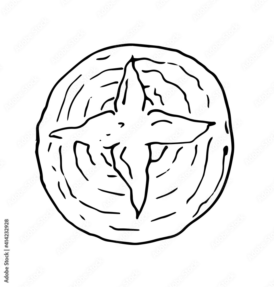 vector isolated element of round bread drawn by hand in the style of ...