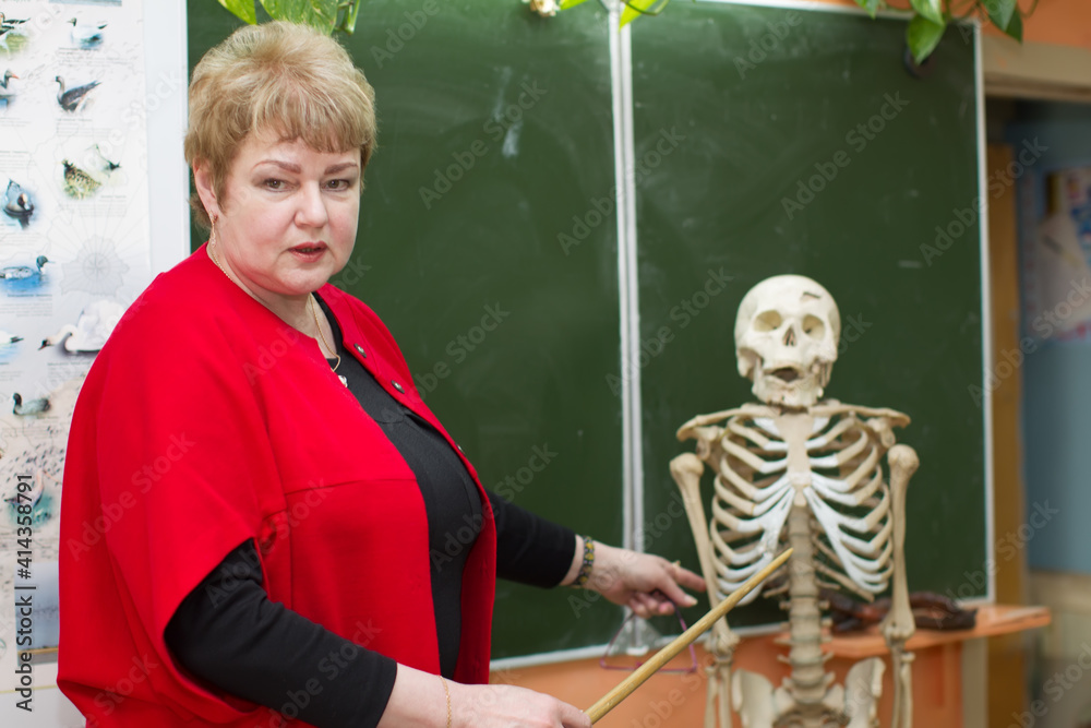 Biology lesson. The teacher tells the structure of the human skeleton ...