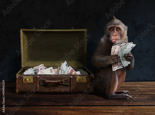 Intelligent clever monkey with money on hand and suitcase full of cash ...