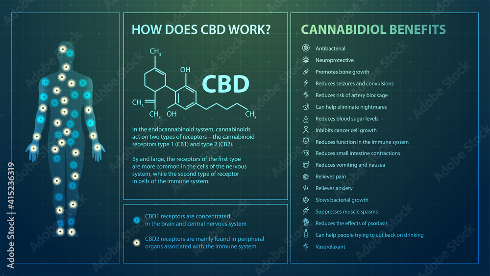 How does CBD works, poster in digital style with infographics ...