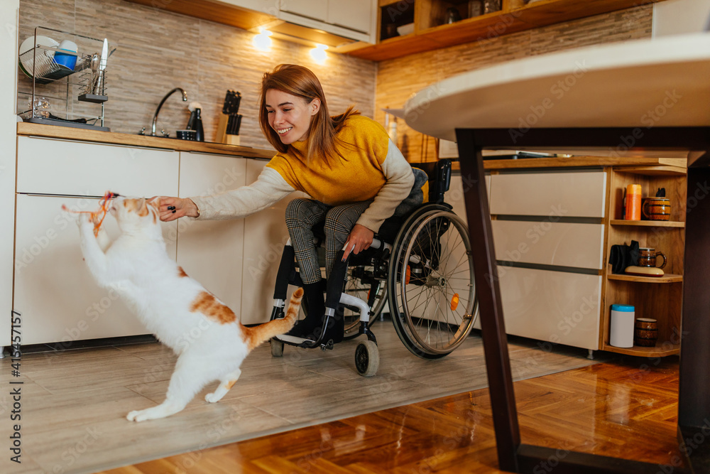 Beautiful woman in wheelchair playing with cat Stock Photo | Adobe Stock
