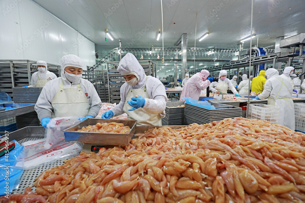 The workers are busy in a modern broiler processing factory on the ...