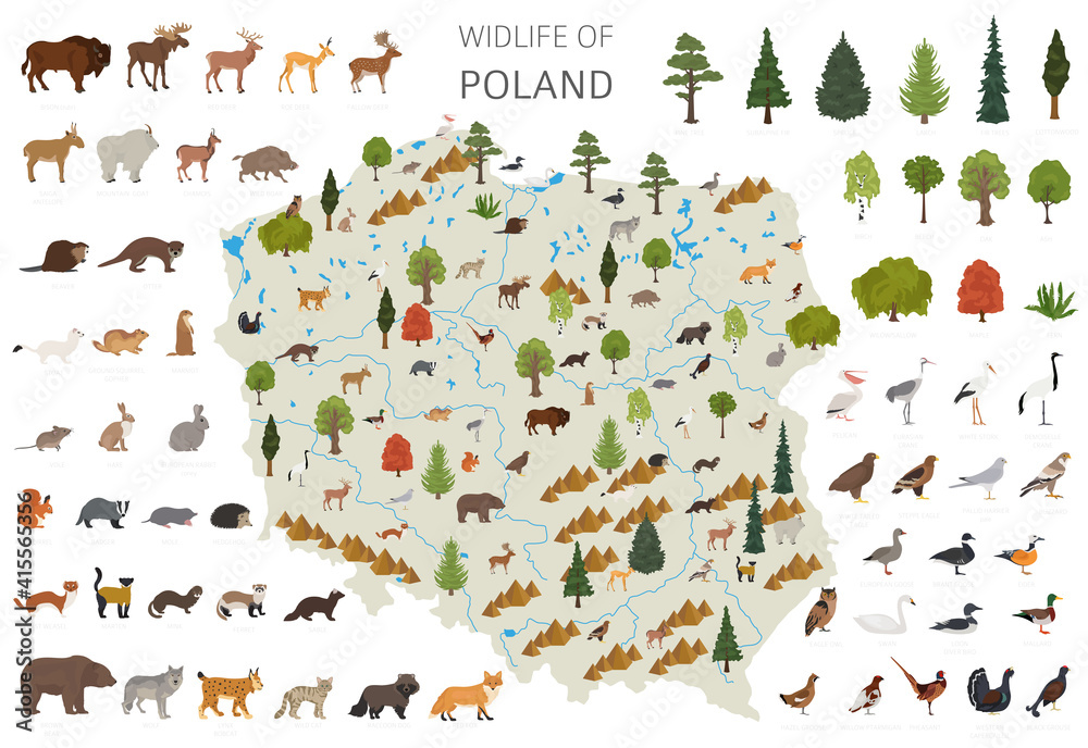 Praca wektorowa bez tantiem: Flat design of Poland wildlife. Animals ...