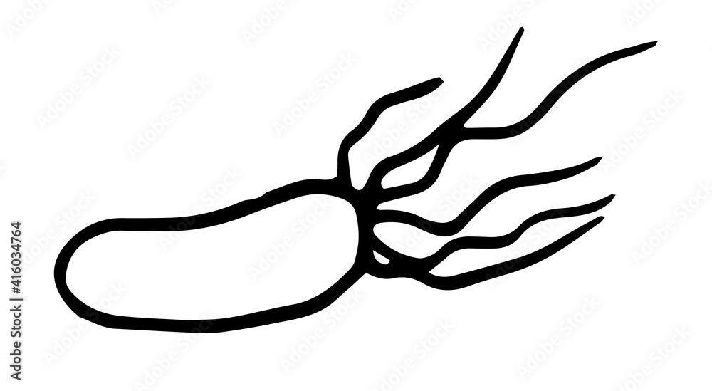 vector isolated microbe element in doodle style black outline on white ...