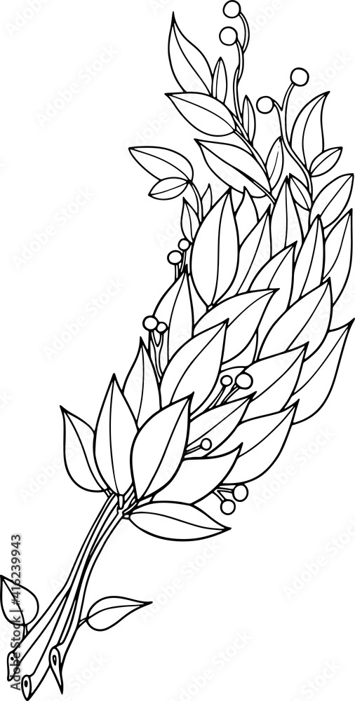 laurel wreath branch black outline vector illustration isolated white ...