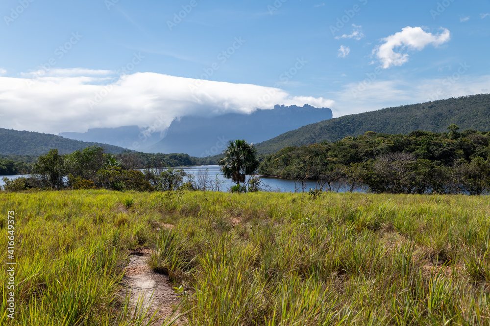 Panorama landscape of Canaima National Park (Bolivar, Venezuela). Stock ...