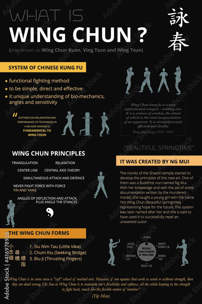 Infographic of the Wing Chun Stock Vector | Adobe Stock
