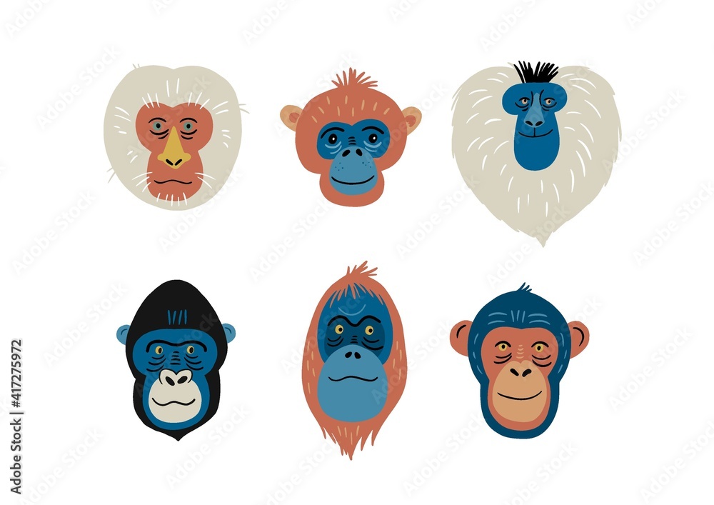 Cute vector primates in flat style. Chimpanzee, Orangutan, Gorilla ...