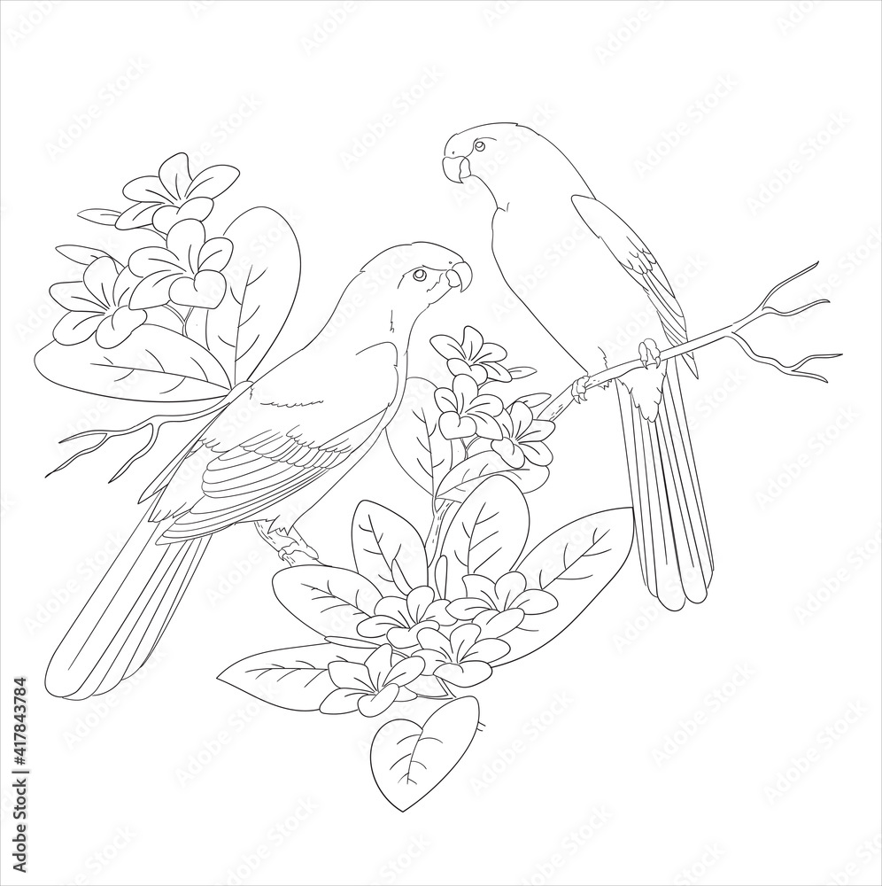 Print coloring page two birds Stock Vector | Adobe Stock