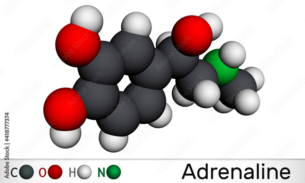 Adrenaline, epinephrine molecule. It is hormone, neurotransmitter ...