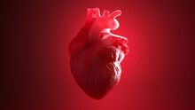 Spring Heart PNG Free Stock Photo - Public Domain Pictures
