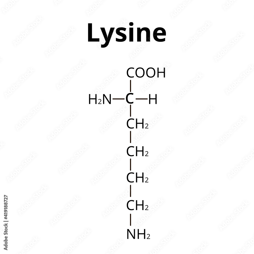 Amino acid Lysine. Chemical molecular formula Lysine is an amino acid ...