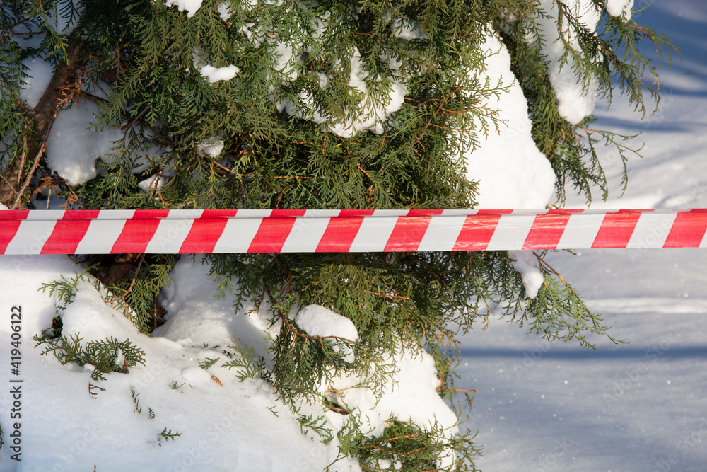 Signal striped tape near trees in the snow. Park hazard warning ...