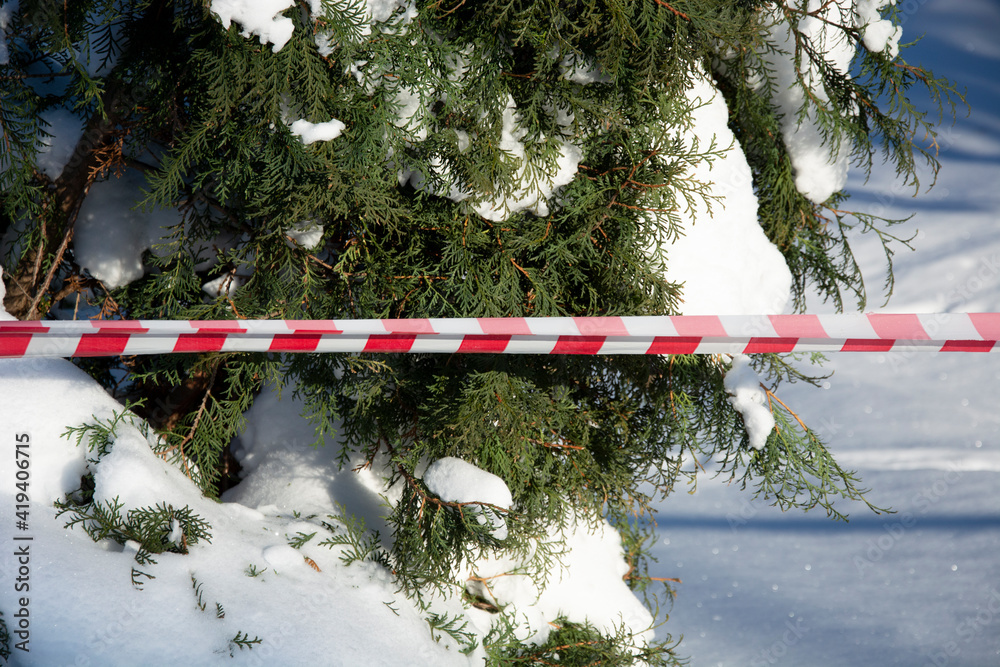 Signal striped tape near trees in the snow. Park hazard warning ...