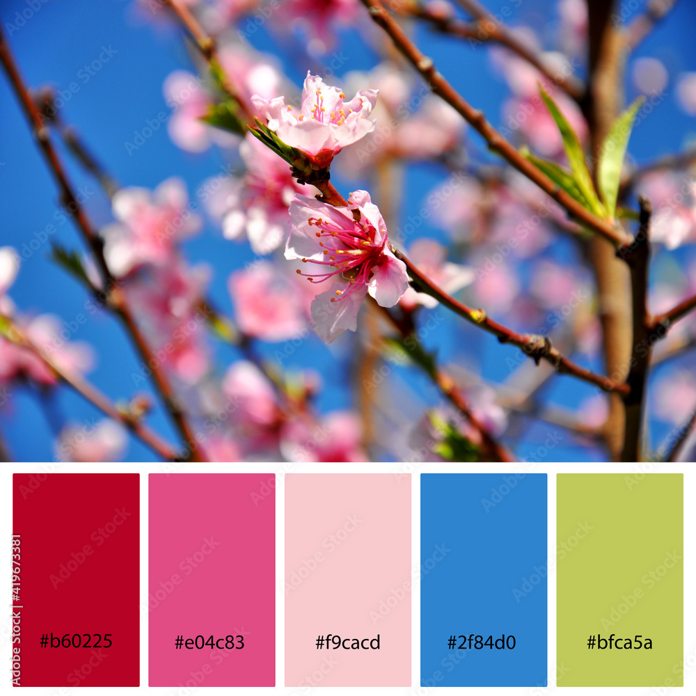 Designer Color Palette inspired by spring flowers. Designer pack with ...