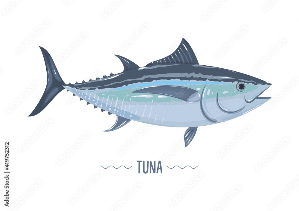 Fresh tuna fish isolated on white background. Vector illustration ...