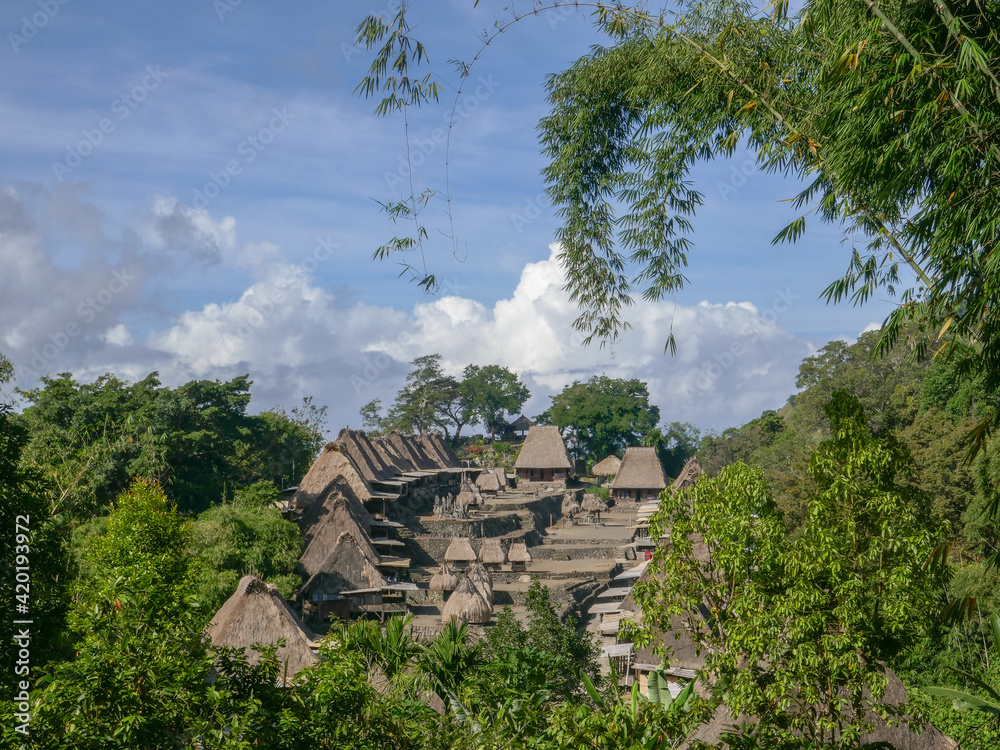 Bena traditional village of the Ngada people or tribe in nature setting ...