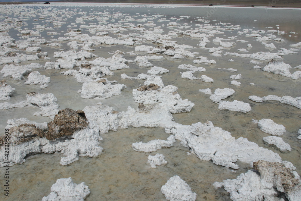 Flooded Salt Flat Deposit with Crystals Forming on the Surface due to ...