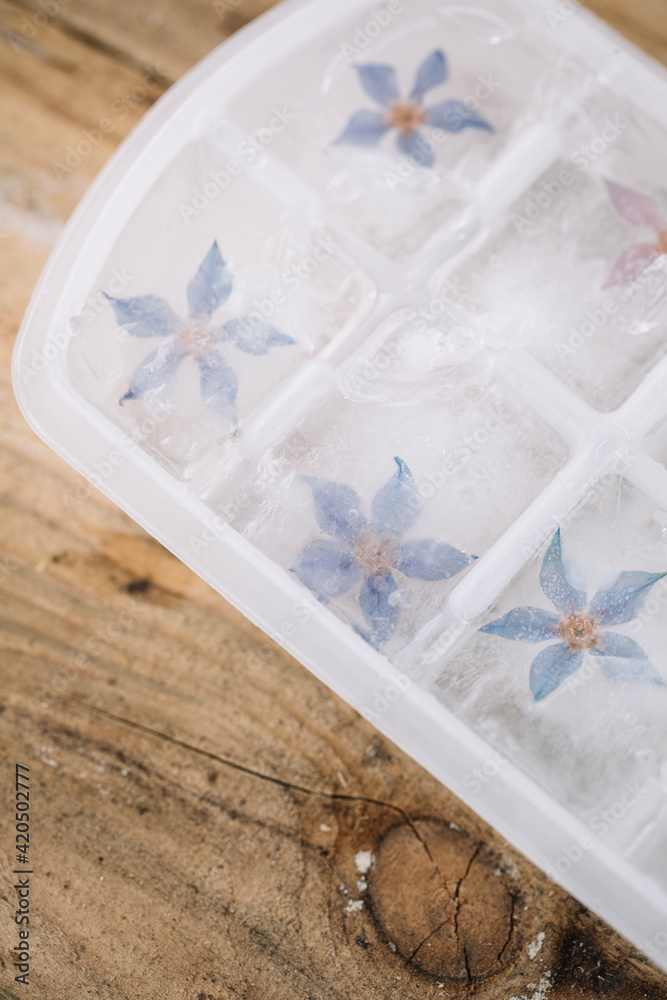 Edible Flower Iced Cubes Stock Photo | Adobe Stock