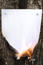 Charred Paper Free Stock Photo - Public Domain Pictures