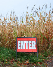 Harvest Welcome Sign Background Free Stock Photo - Public Domain Pictures