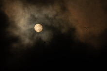 Eerie Moon Scene Free Stock Photo - Public Domain Pictures