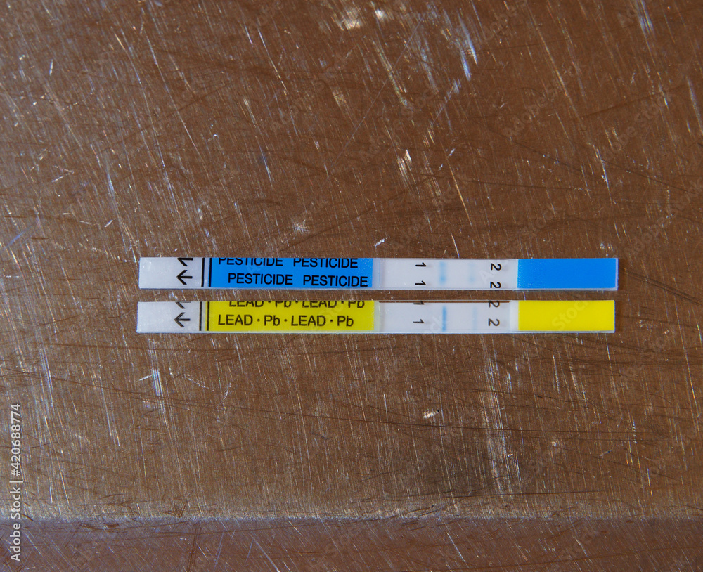 Test strips from a home water testing kit (Pb) for lead or pesticide ...