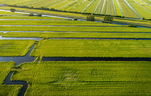 Dutch Wetlands Free Stock Photo - Public Domain Pictures