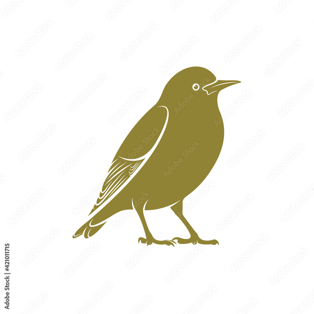 Starling bird design vector illustration, Creative Starling bird logo ...