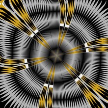 Checker Flower Free Stock Photo - Public Domain Pictures