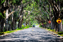 Famous Magnolia Street Free Stock Photo - Public Domain Pictures
