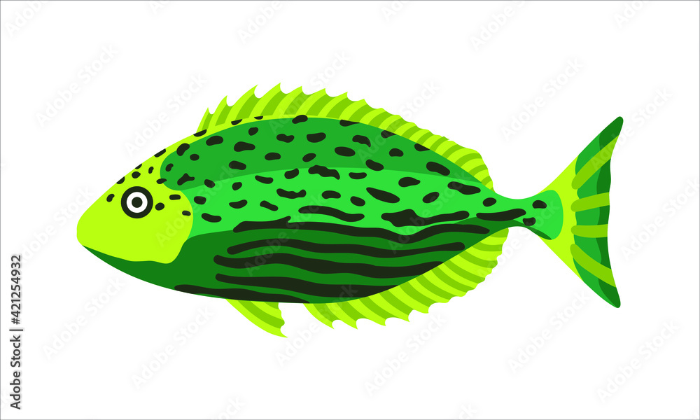 Vector de Stock siganus javus, one of the rabbitfish. collection set of ...