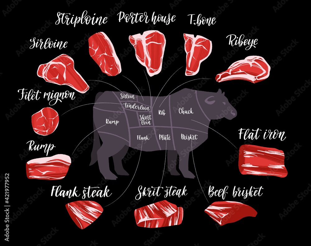 Steak cuts set. Beef cuts chart and pieces of beef, used for cooking ...