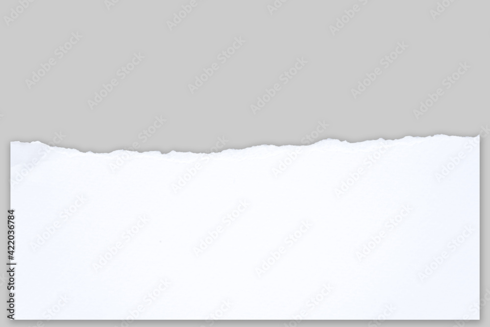 White ripped note,Torn paper edges for background. Ripped paper texture ...