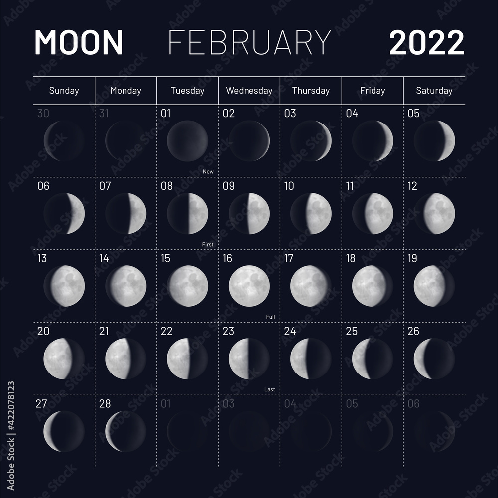 Vector de Stock February moon phases calendar on dark night sky. Month ...