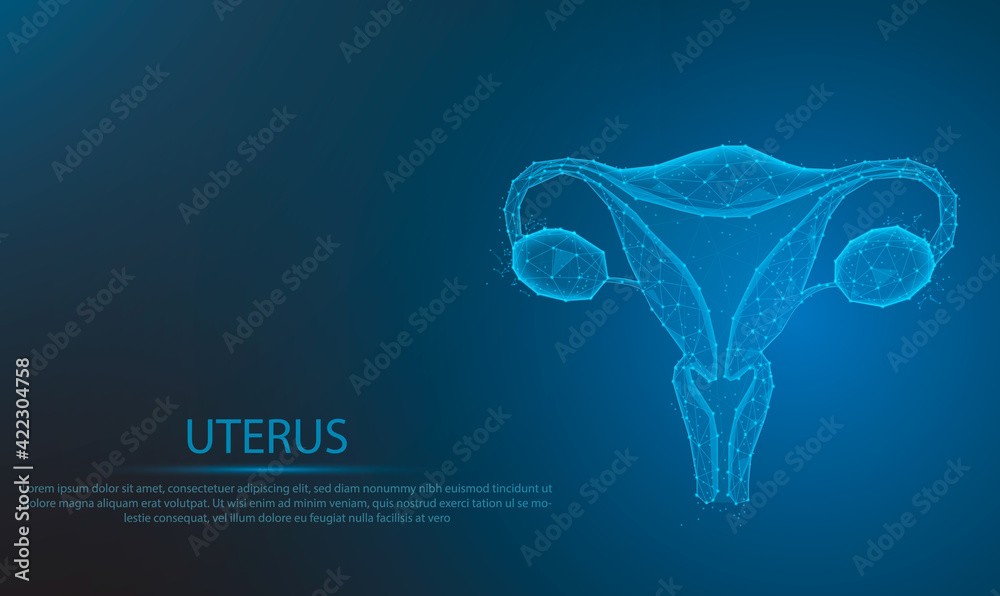 Human anatomy Female reproductive system. Organs location scheme uterus ...