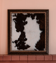 Furry Frame Free Stock Photo - Public Domain Pictures