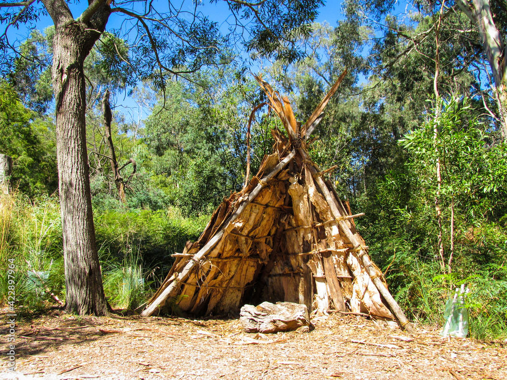 Foto de Stock A humpy surrounded by bush plants. This temporary shelter ...