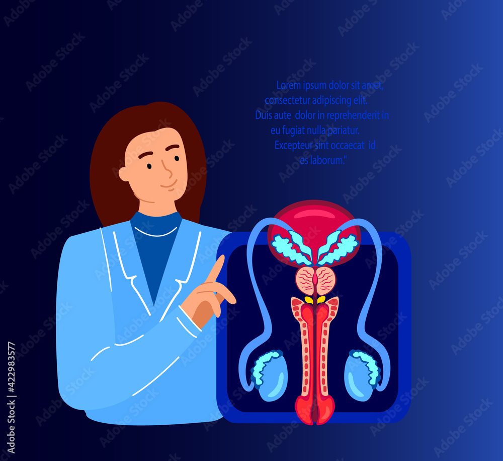 Andrologist,Urologist Scientists Doctors Examine Male Reproductive ...