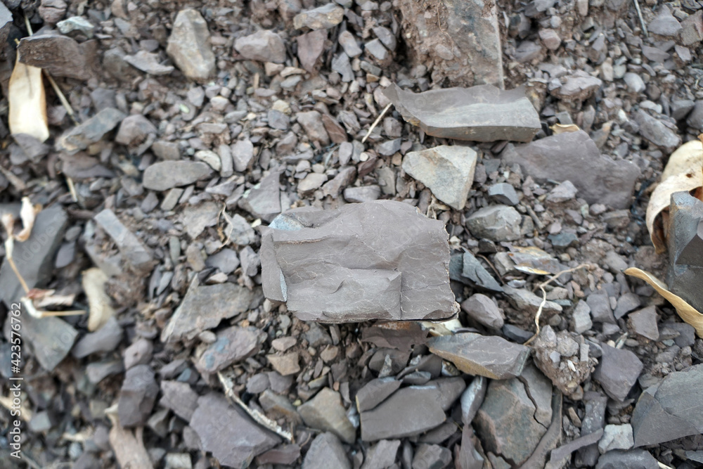 Shale is a fine-grained sedimentary rock that forms from the compaction ...