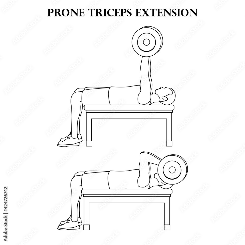 Prone triceps extension exercise strength workout vector illustration ...
