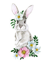 Easter Bunny Rabbit Art Print Free Stock Photo - Public Domain Pictures