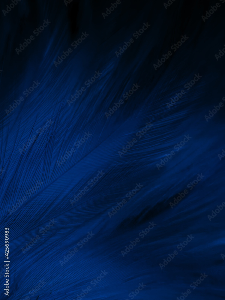 Fotografie Beautiful abstract blue feathers on white background, white ...