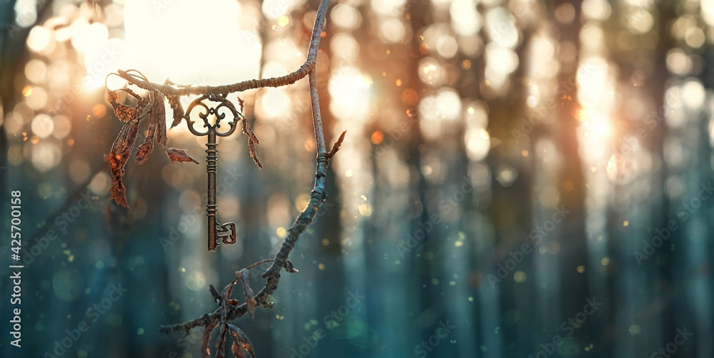 vintage golden key in mystery forest, natural abstract background ...