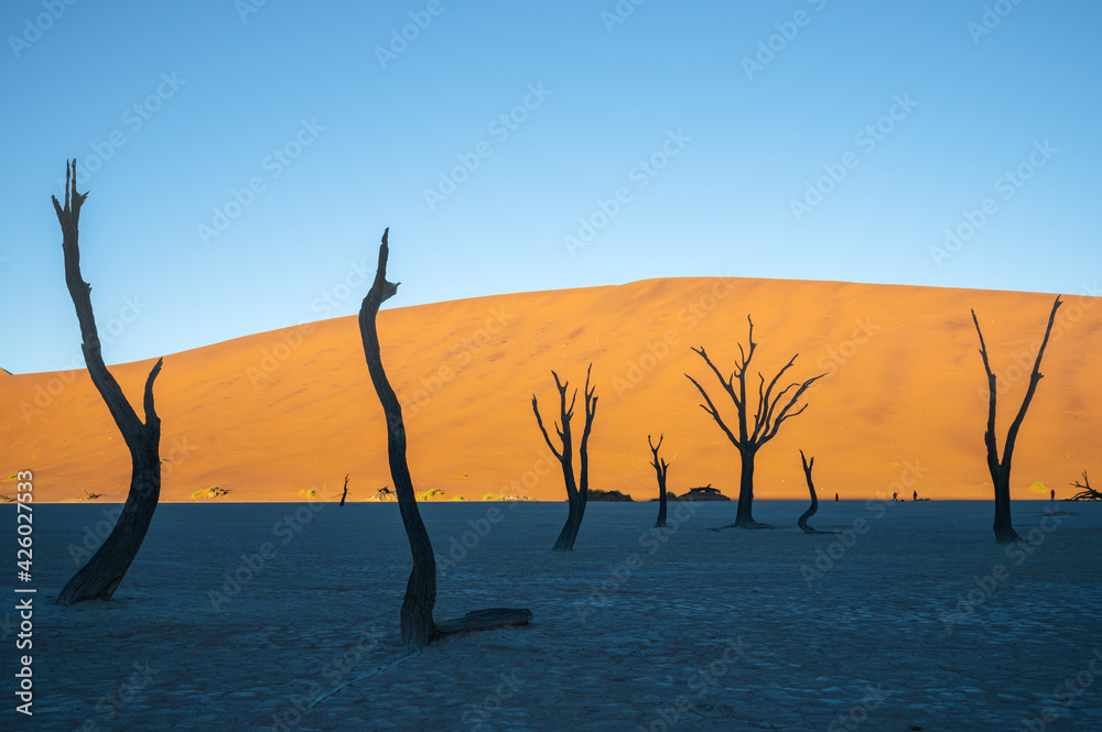 Sossusvlei, Namibia, a psychedelic and surreal landscape, this is the ...